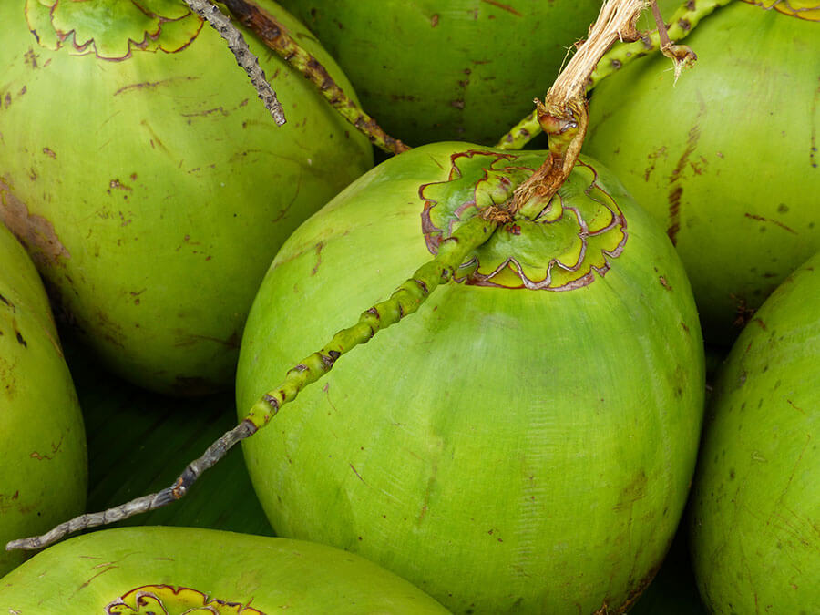 Premium Organic Coconut Products | Dr. Goerg